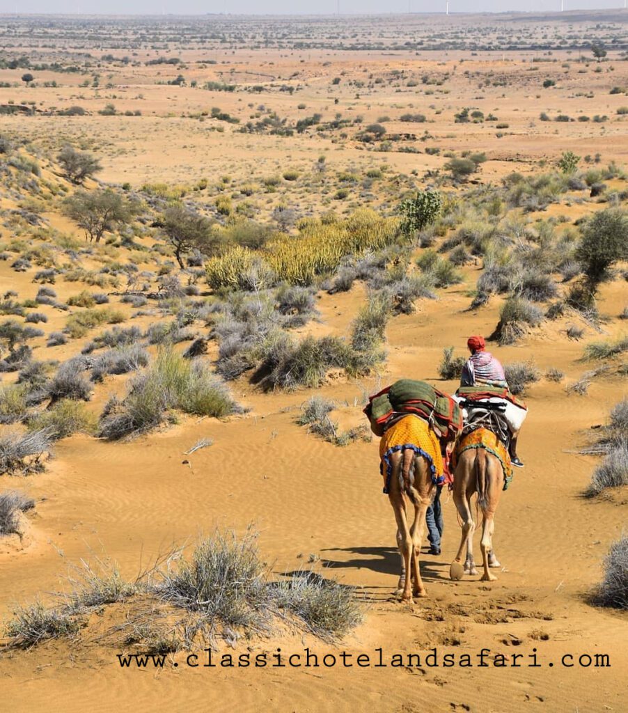 Best Camel Safari in Jaisalmer | Desert Camping in Jaislamer